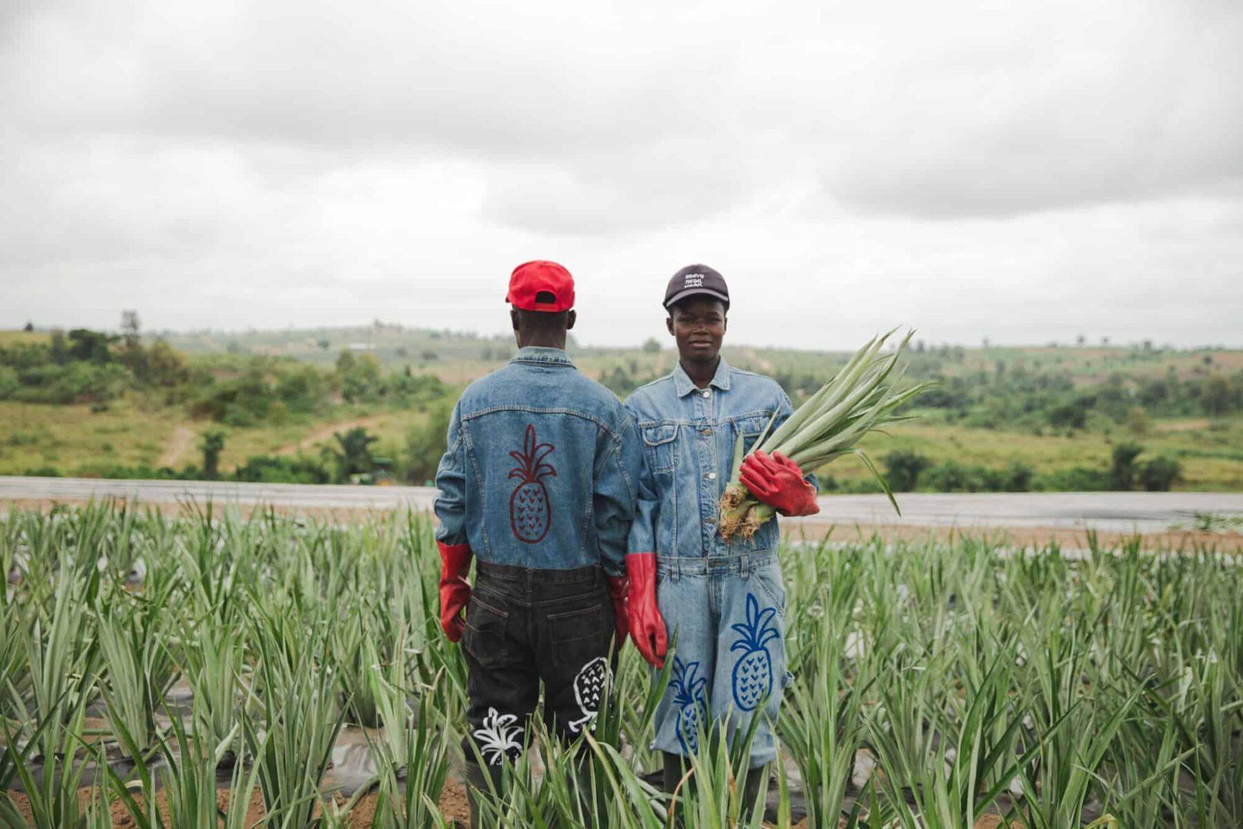 10 Innovative Examples of Sustainable Technologies Transforming ...