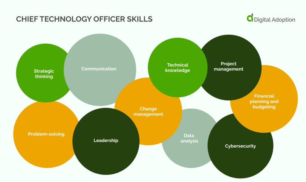 How to Become a Chief Technology Officer (CTO): Education Requirements ...