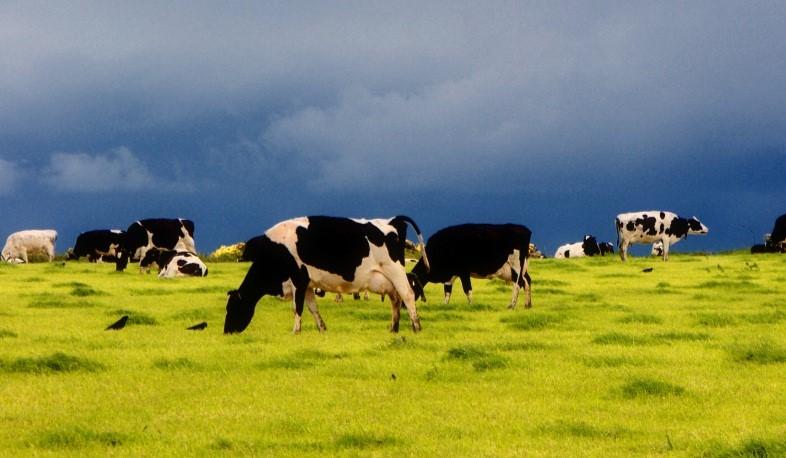 Top Platforms Leading the Microlearning Revolution: Transforming Modern ...