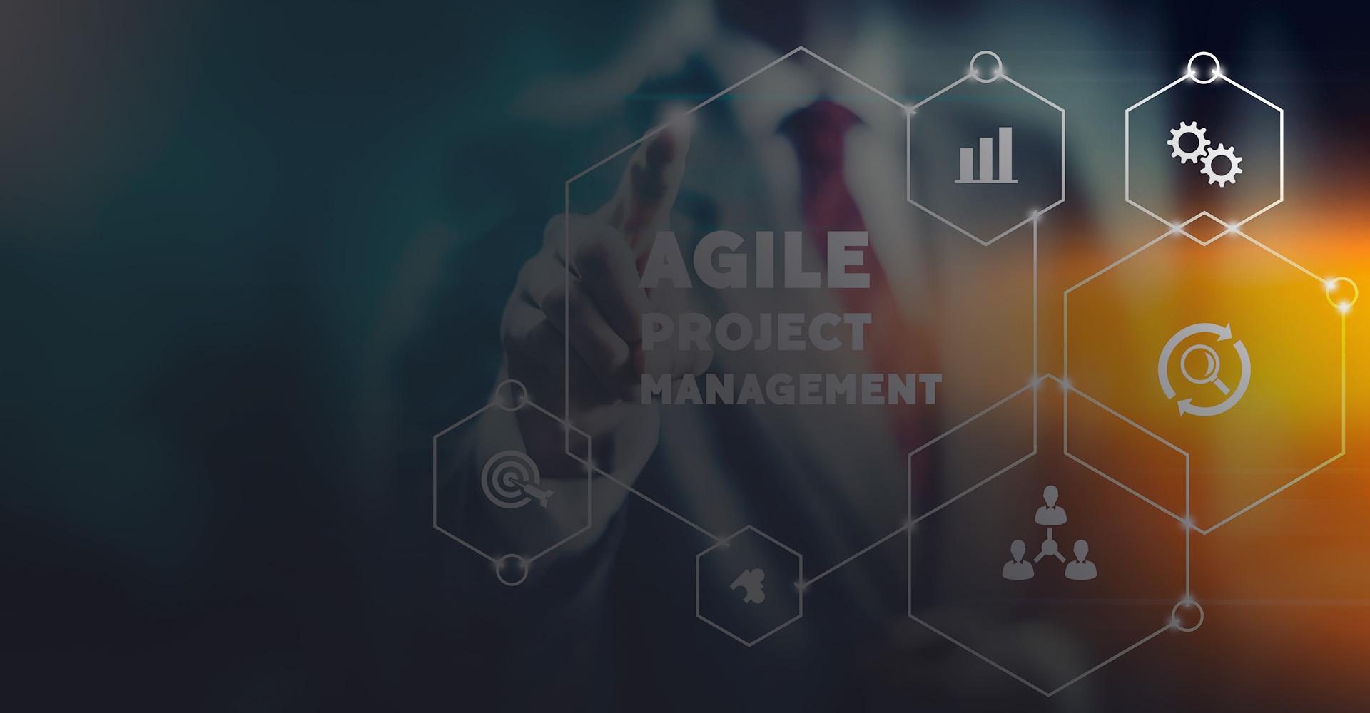Agile Project Manager: Key Roles, Skills, and Career Path for Success ...