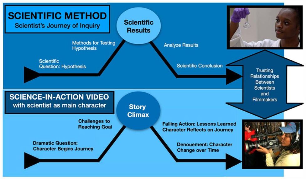Case Studies of Successful Inclusion Strategies: Real-World Examples ...